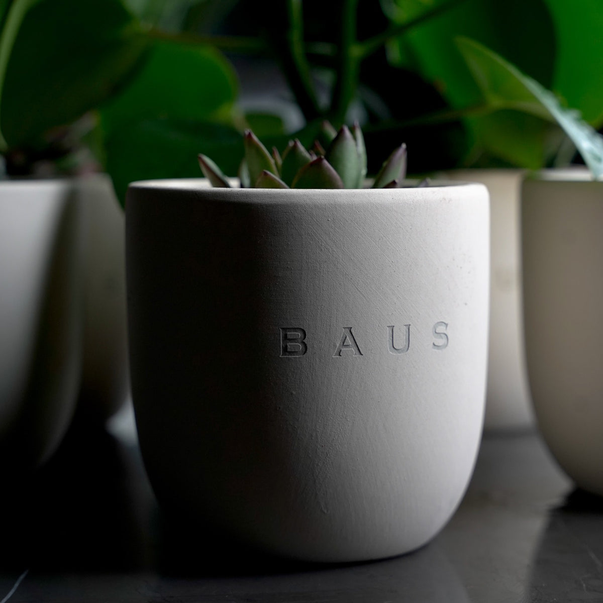 BAUS- Home